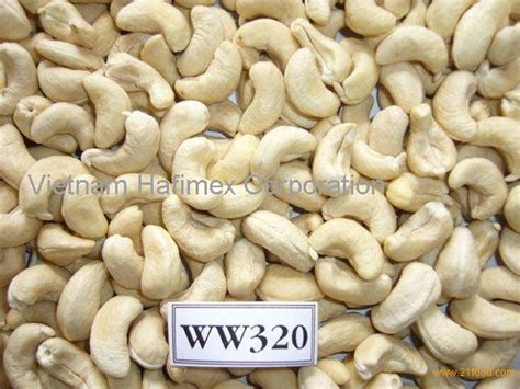 Raw Cashew Nut Without Shell Vietnam Origin Vietnam Vietnam Hanfimex Corporation Price Supplier