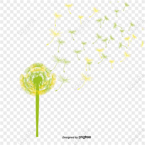 벡터 자유형 바람이 민들레 일러스트 뿌리다실재론식물 Png 일러스트 무료 다운로드 Lovepik