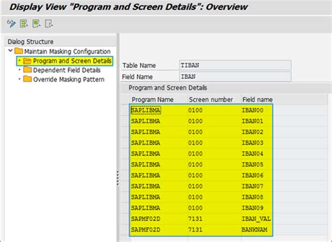 Field Masking How To Mask A Field In Module Pool Sap Community