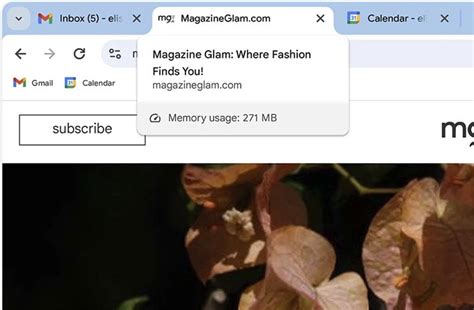 Chrome Update Tattles On Memory Hogging Tabs And Bolsters Password