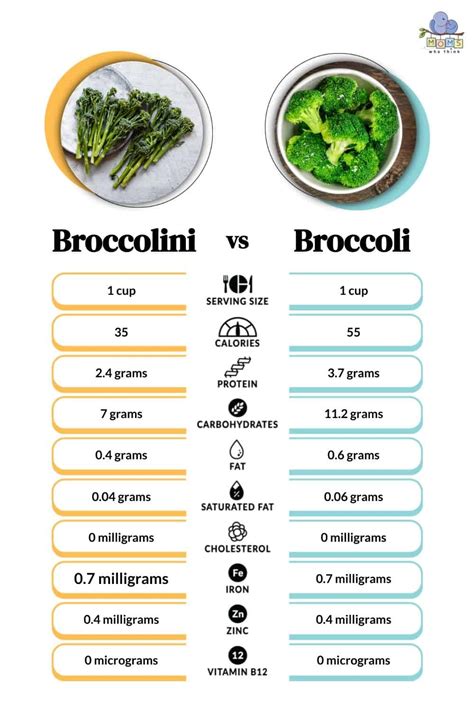 Cooked Broccoli Nutrition Facts Printable Nutrition Facts