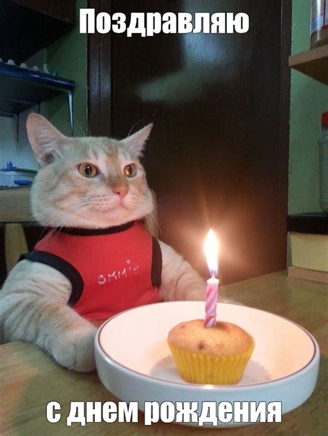 Мем Поздравляю с днем рождения Все шаблоны Meme