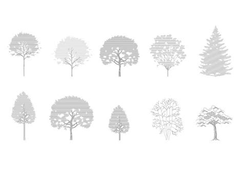 90 Treeline Perspective Stock Illustrations Royalty Free Vector Graphics And Clip Art Istock