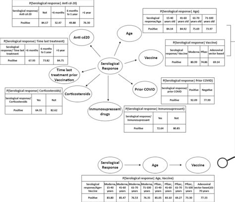 Conditional Probabilities Explained With Probabilities In All Tables Download Scientific