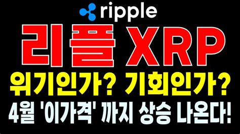 리플 Xrp 전망 위기인가 기회인가 흔들리지 마세요 4월 여기까지 상승 나온다 리플 리플xrp 리플코인 리플전망