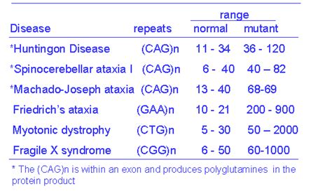 Trinucleotide Repeats Triplet Repeats