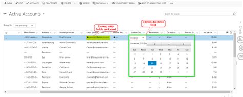 Dynamics 365 Editable Grid A Complete Guide On Configuration And Features Crm Indian