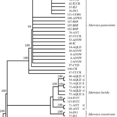 bayesian inference tree based on the its region combined with 6