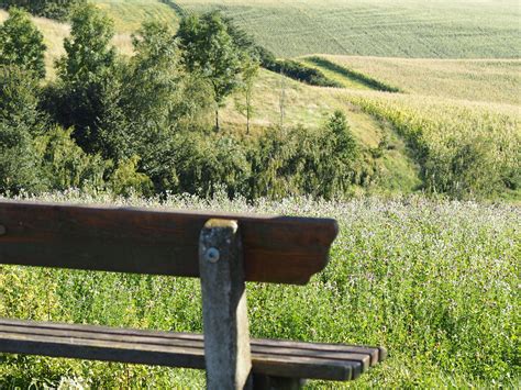 Path Field Relaxation Free Photo On Pixabay Pixabay