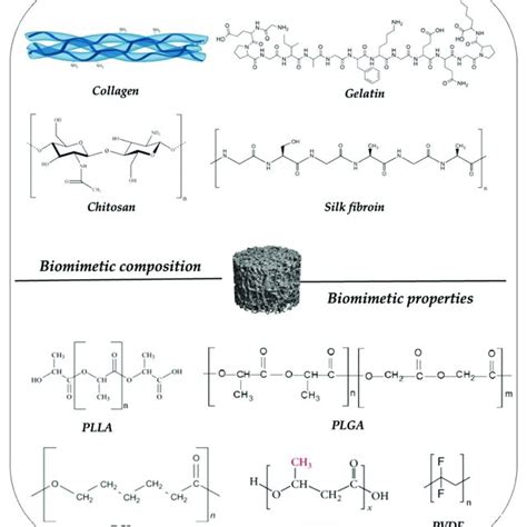 Natural And Synthetic Polymers Used For Magnetic Scaffolds Formulation Download Scientific