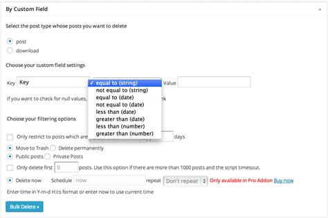 Bulk Delete Posts By Custom Field Bulk WP