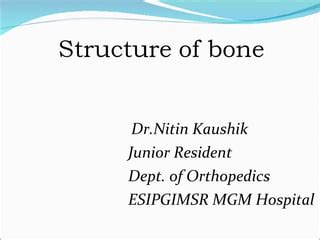 Structure Of Bone PPT