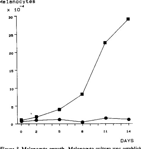 Figure 3 From Human Epithelial Cells Induce Human Melanocyte Growth In