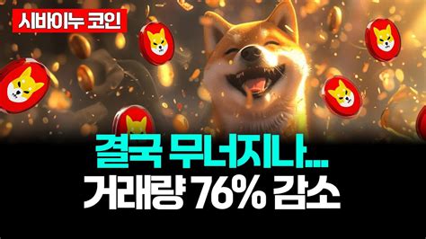 시바이누 아직도 호재에 속고 있다면 오늘이 마지막 탈출 기회 Youtube