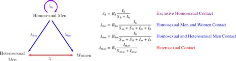 Triangle Transmission Between Homosexual Men Heterosexual Men And