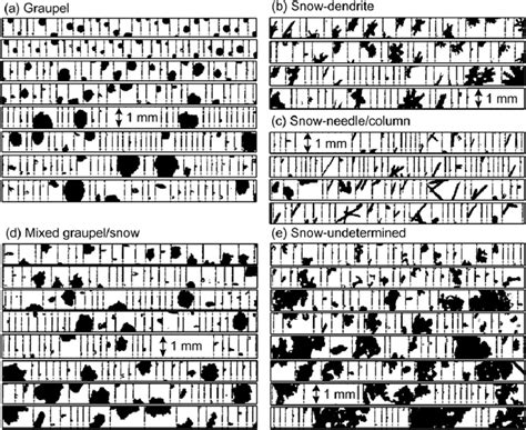 Selected Particle Images From The Und Citation 2dc Illustrating