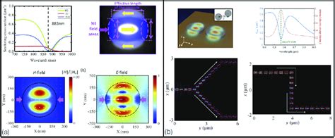 A Anapole Excitation Of A Dielectric Disk Showing Multipole