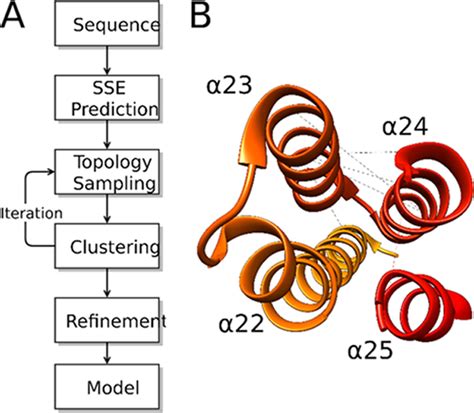Protein Structure Prediction Pipeline And Sdsl Epr Data For The Download Scientific Diagram