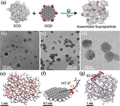 Formation Of Sps From Gqds And Sod With Terbium Ions As Metal