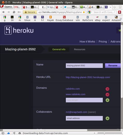 Heroku Rails App Domain Only Working Without Stack Overflow