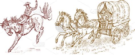 牛仔 马 马具 马轿 警长 男人 非都市风光 古老的 复古 日落