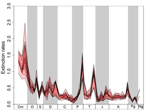 Revisiting Past Biodiversity With The Divdyn R Package Methods Blog