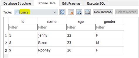 How To Delete Data In Python Using Sqlite