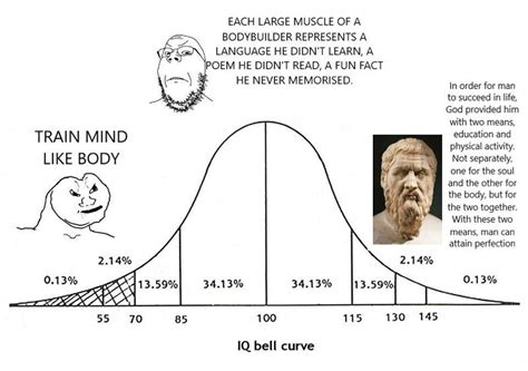 Filemidwit Meme 3 Meming Wiki