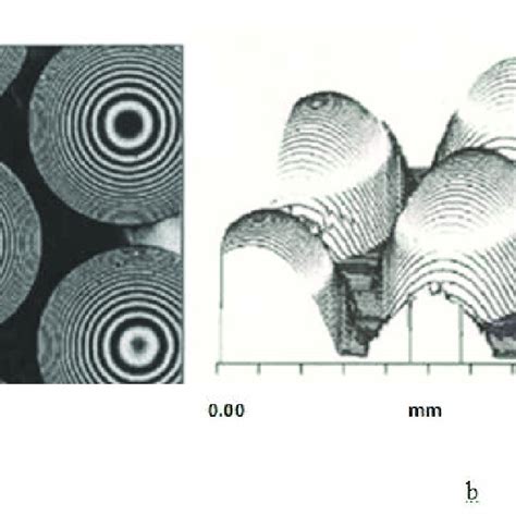 The Interference Pattern On The Sample Surface Of The Microlens Raster