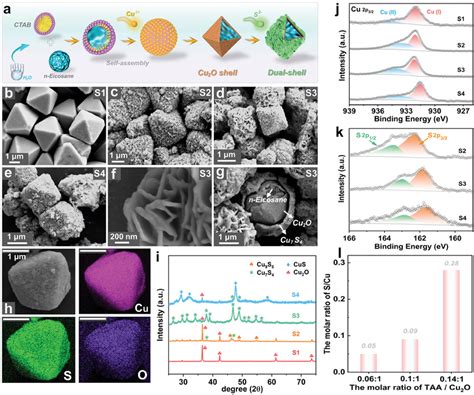 Preparation And Characterization Of Microcapsules A Schematic Diagram