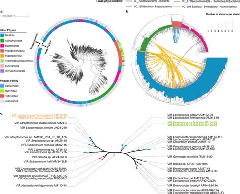 Host Range Of Phages And Interactions Between Phages And Bacteria A