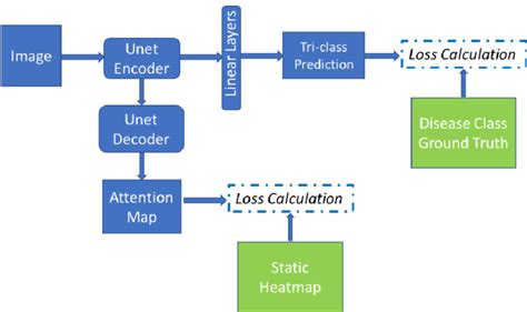 Architecture For Chest X Ray Input With Static Heatmap Ground Truth