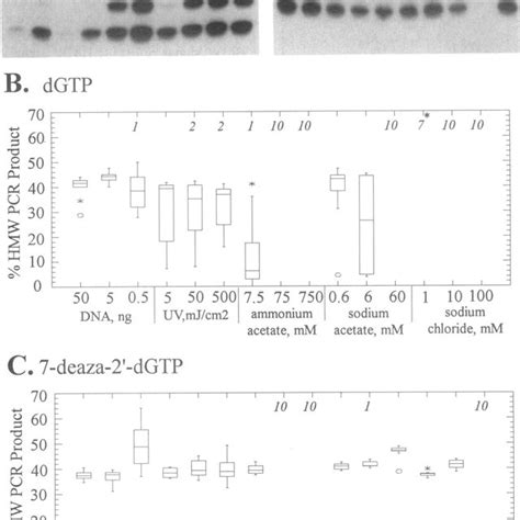 Pdf Pcr Bias In Amplification Of Androgen Receptor Alleles A Trinucleotide Repeat Marker Used