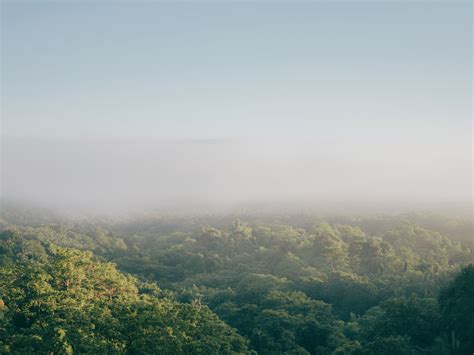 How Does Nervous System Dysregulation Link To Addiction Into Action Recovery Centers