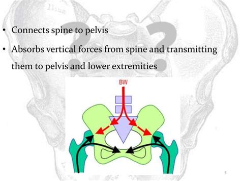 Biomechanics Of Si Joint PPTX