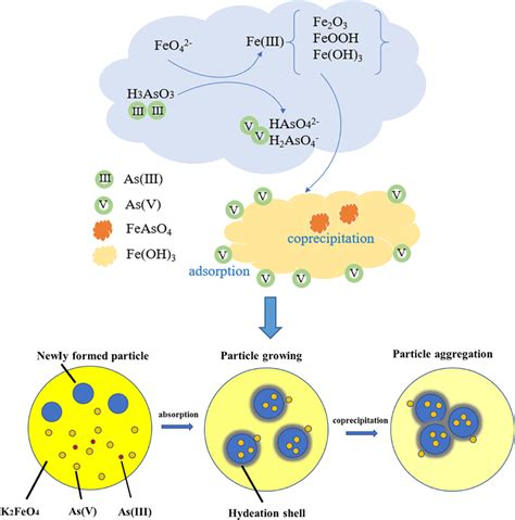 Proposed Schematic Diagram On Arsenic By Fevi Download Scientific Diagram