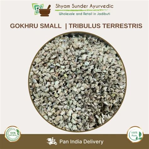 Dried Organic Gokhru Small At ₹ 205 Kg In Hyderabad Id 2856564227397