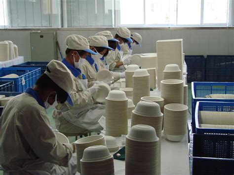 How To Choose The Supplier Of Bagasse Tableware Hmz Only Specialize In Biodegradable Products