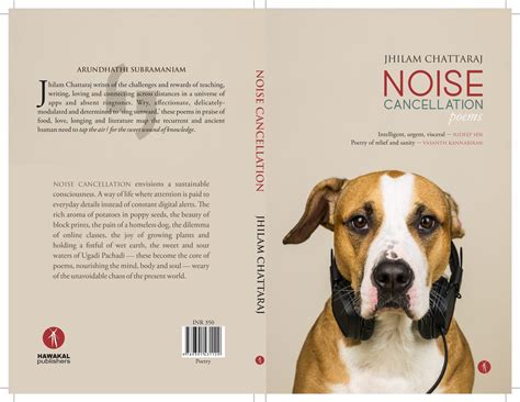 Review Of Noise Cancellation FridayWall