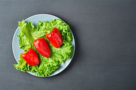 샐러드 양상추 고추 둥근 접시의 신선한 녹색 푹신한 잎은 긁힌 어두운 콘크리트에 놓여있습니다 채식주의 자 다이어트 건강 저칼로리 음식 텍스트의 공백입니다 맨 위 보기 0명에