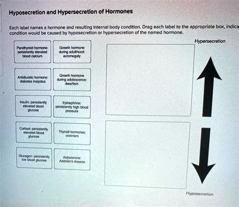 Solved Hyposecretion And Hypersecretion Of Hormones Each Label Names A Hormone And Resulting