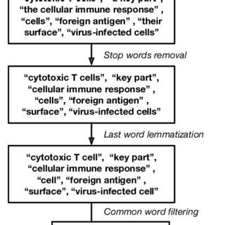 An Example Of Text Processing Download Scientific Diagram