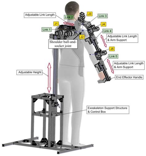 Modeling Of Human Exoskeleton Alignment And Its Effect On The Elbow