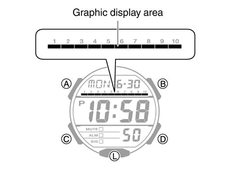 Graphic Display Area Module No 3569 G Shock Support Casio