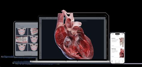 Atherosklerose Der Karotisarterien Carotisstenose Ätiologie