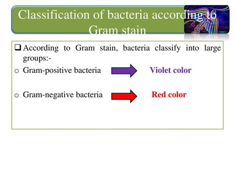 Gram Negative Bacteria Classification