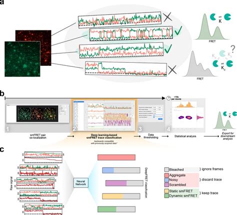 Figures And Data In Deepfret A Software For Rapid And Automated Single Molecule Fret Data