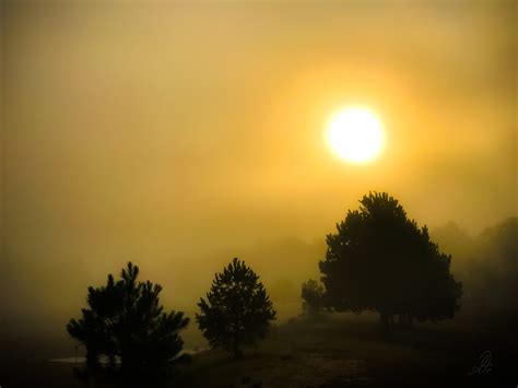 Scott Fillmer Flickr