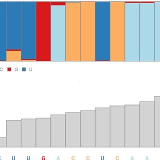 Visualization Of Sequence Data Download Scientific Diagram