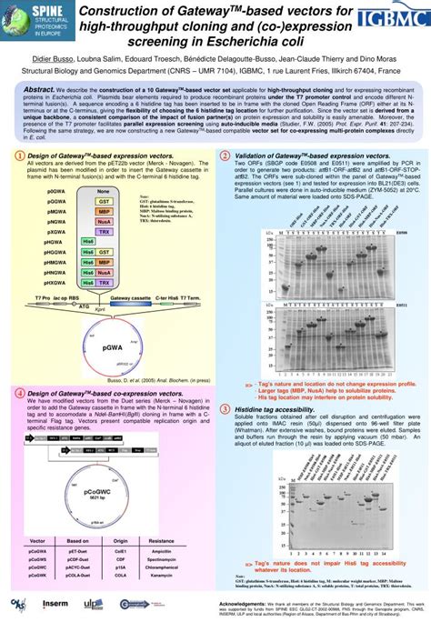 Ppt Construction Of Gateway Tm Based Vectors For High Throughput